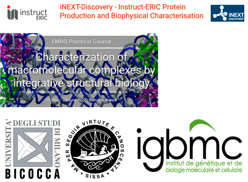 Understanding the role of vault ribonucleoprotein particles in the ...