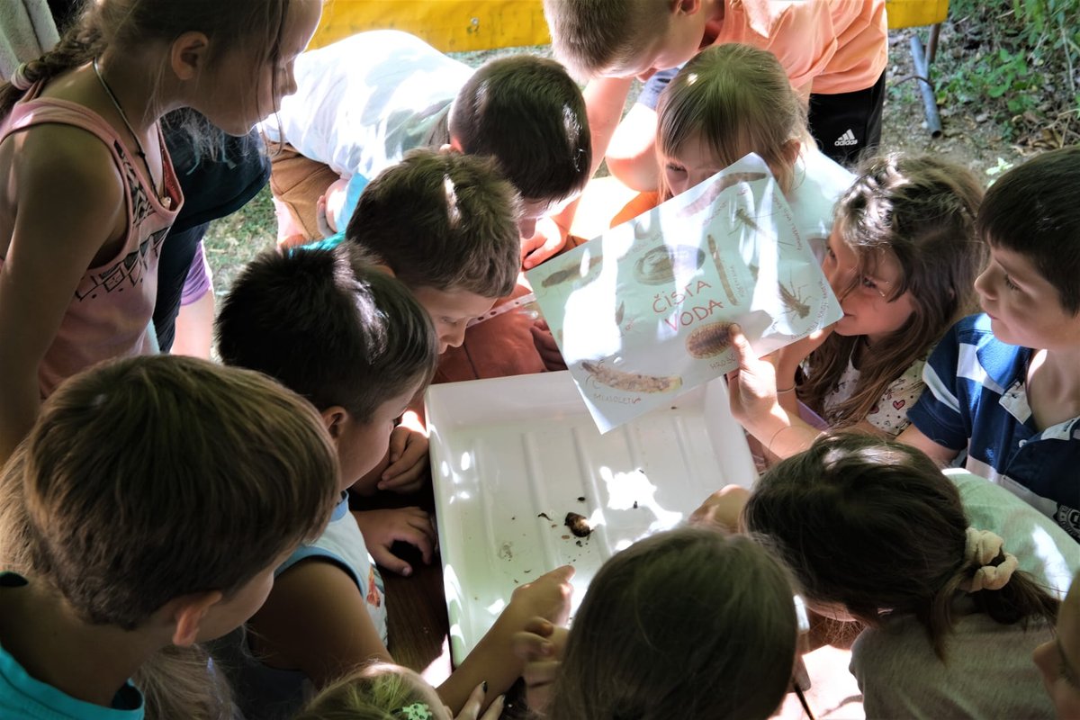 Ecological workshops • UNG